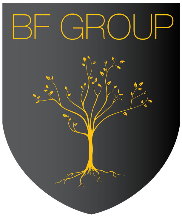 Управляющая компания «Системы» — BF Group