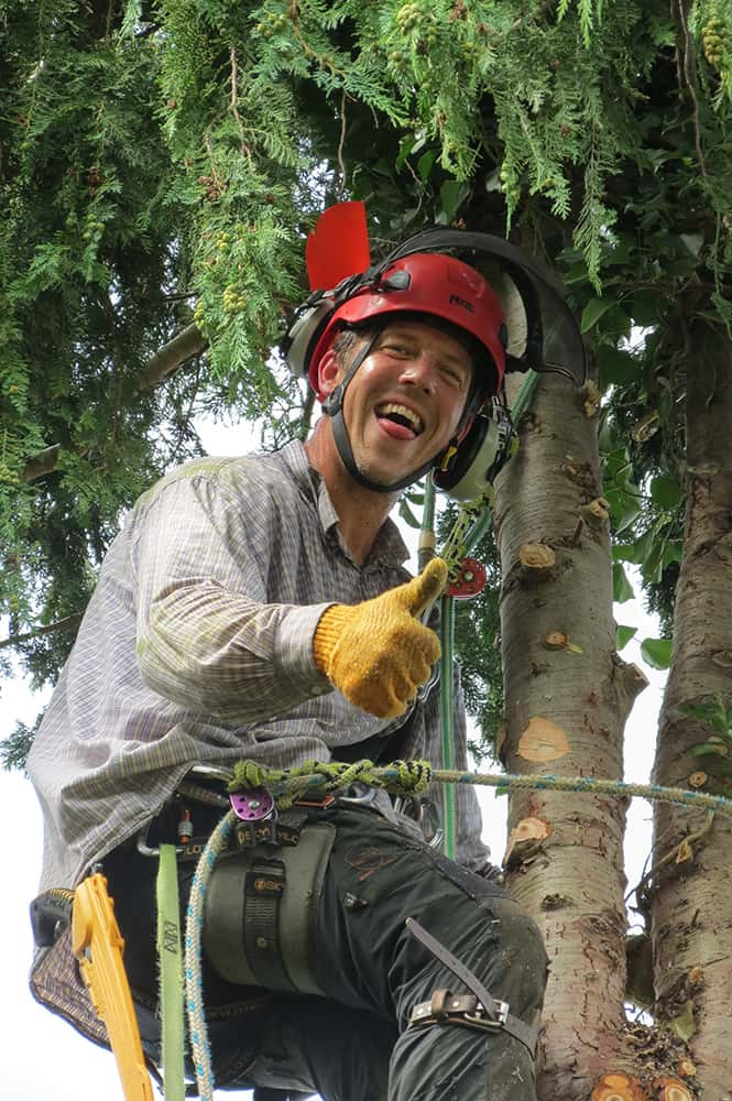 Paul Thomson Arboricultural Services