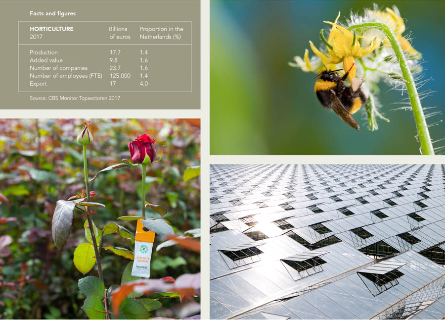 Dutch Industry — Sector Horticulture