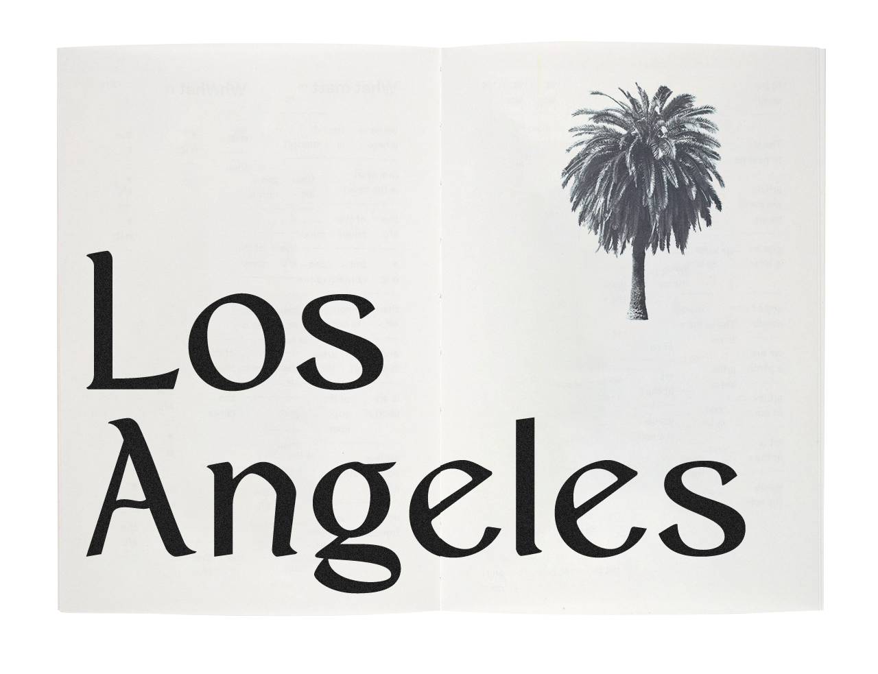 Astrae Studio — Chateau Project