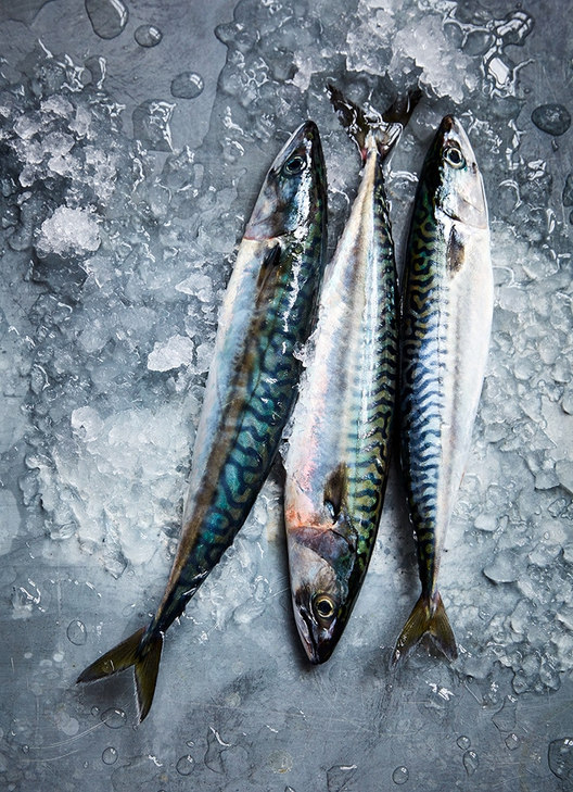 Rene Mesman — Food