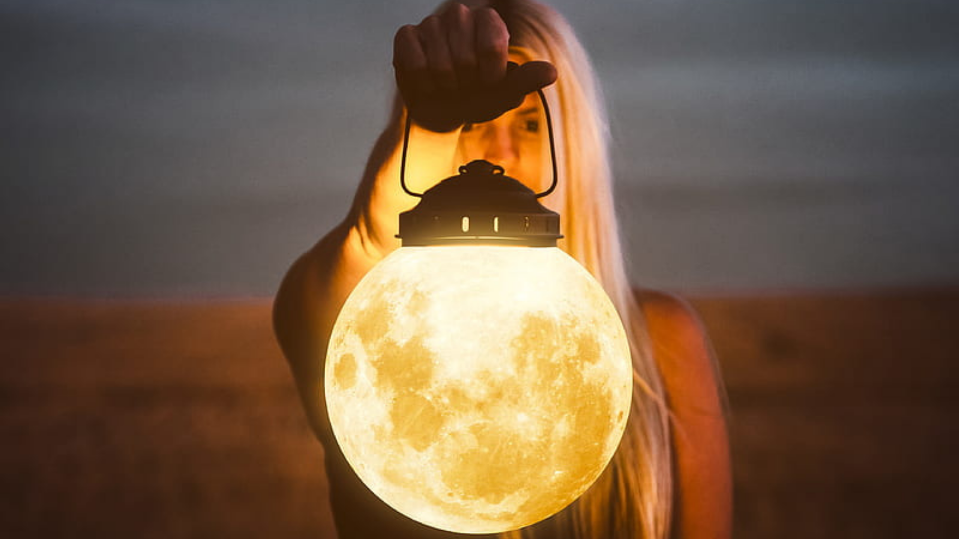 Paradigm Learning Systems