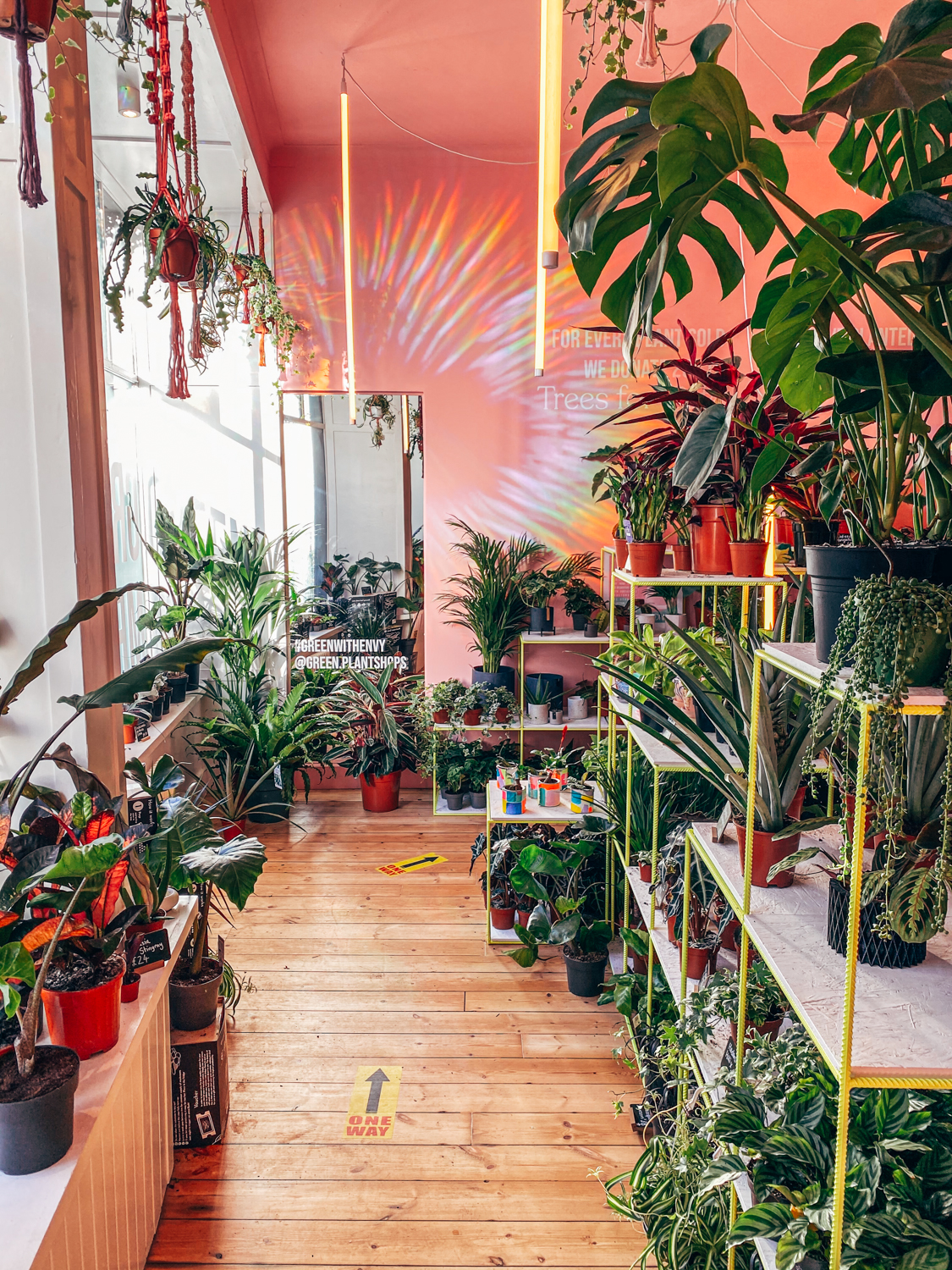 GREEN. PLANTSHOPS — about