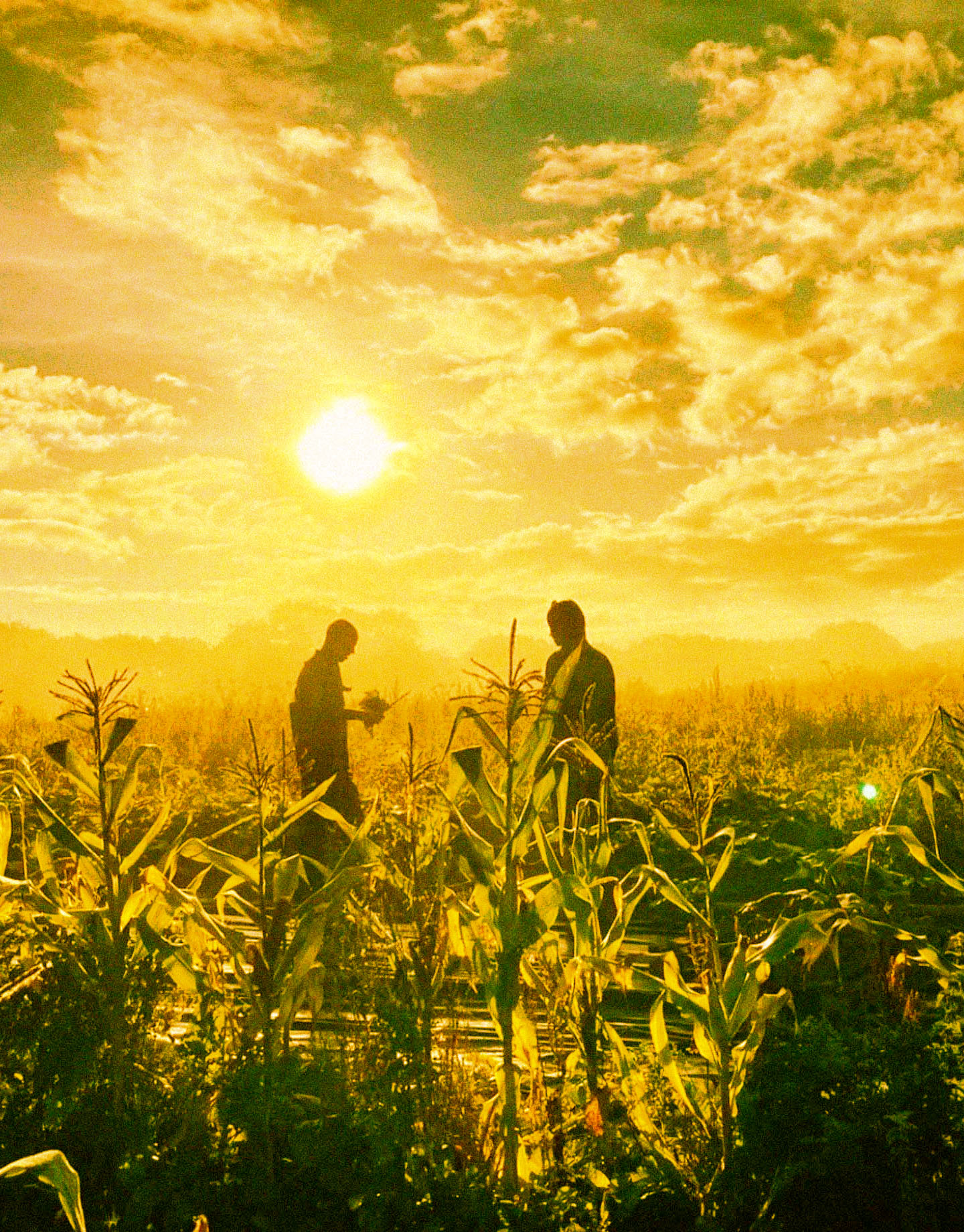 mainlyphotography.com