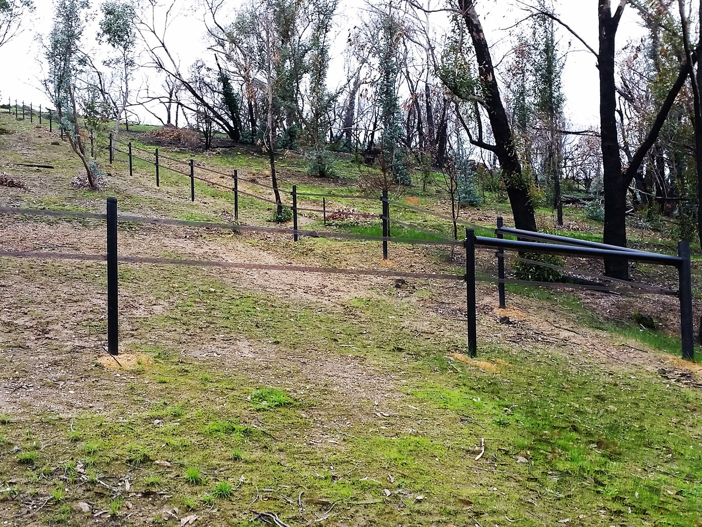 The Fence - March 2021 — Australian FENCING Awards 2020