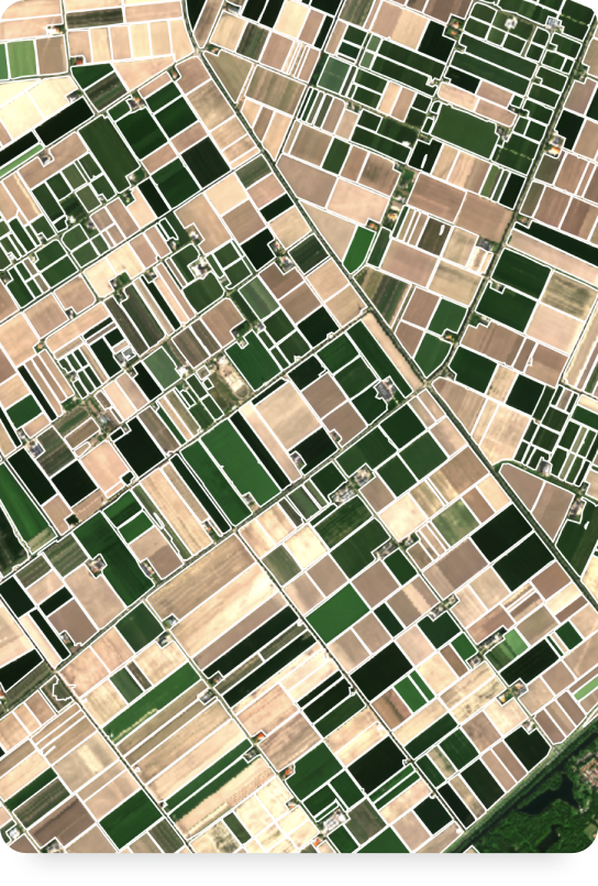 Digifarm | Perfect APIs for Digital Farming