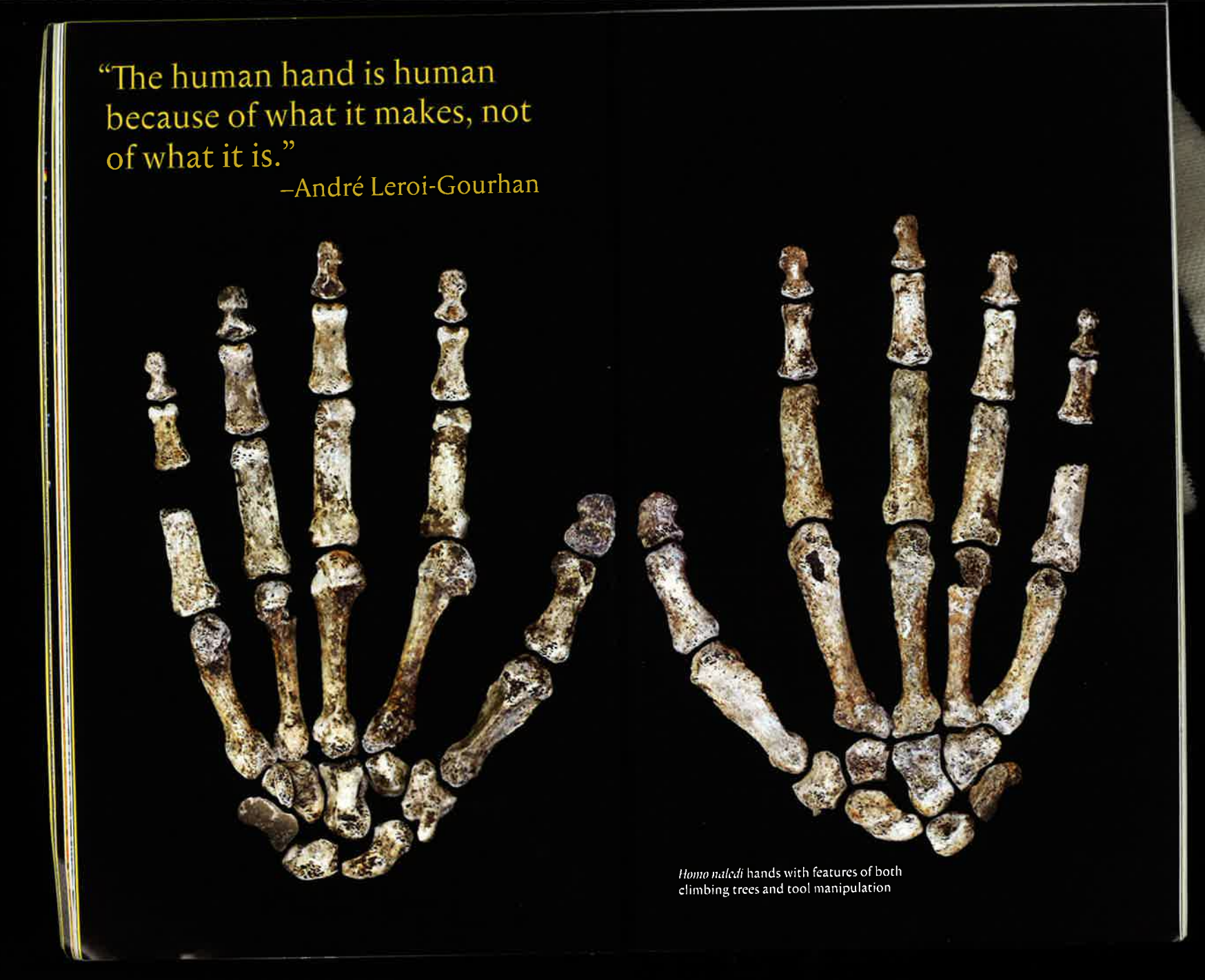 Why Do We Interface? — Human