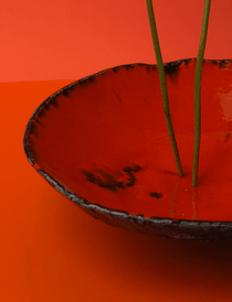 Colors Combinations — Tall Poppy Combinations