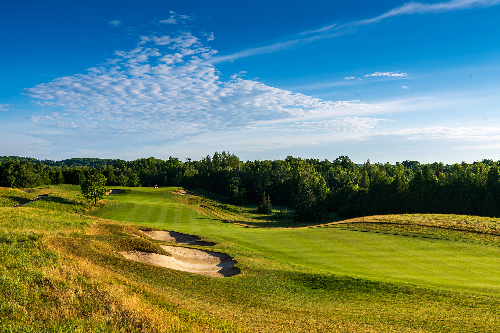 Coppinwood - May 2021 — Page 4