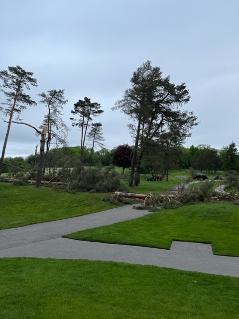 Maple Downs - November 2022 — Page 5