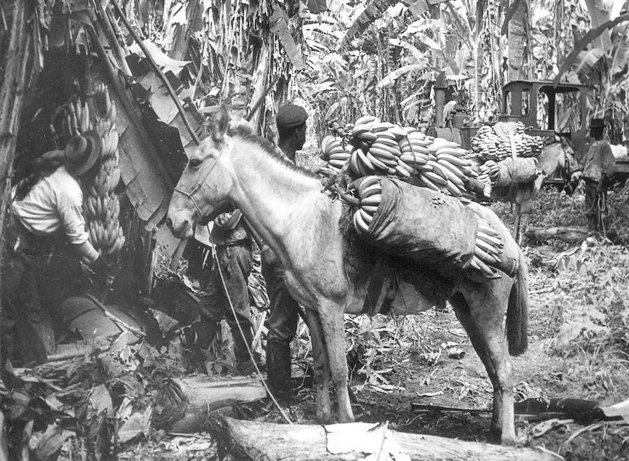 A través de los años — Enclave Bananero