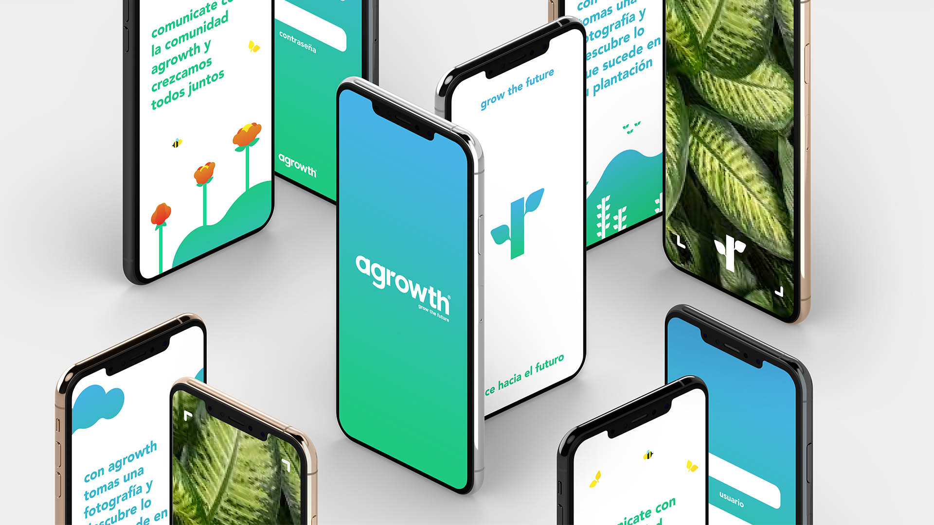 Koete, design + development — proyectos