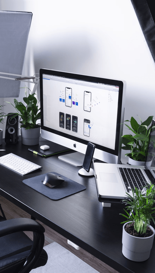 Hard skill design - комплексне навчання дизайну