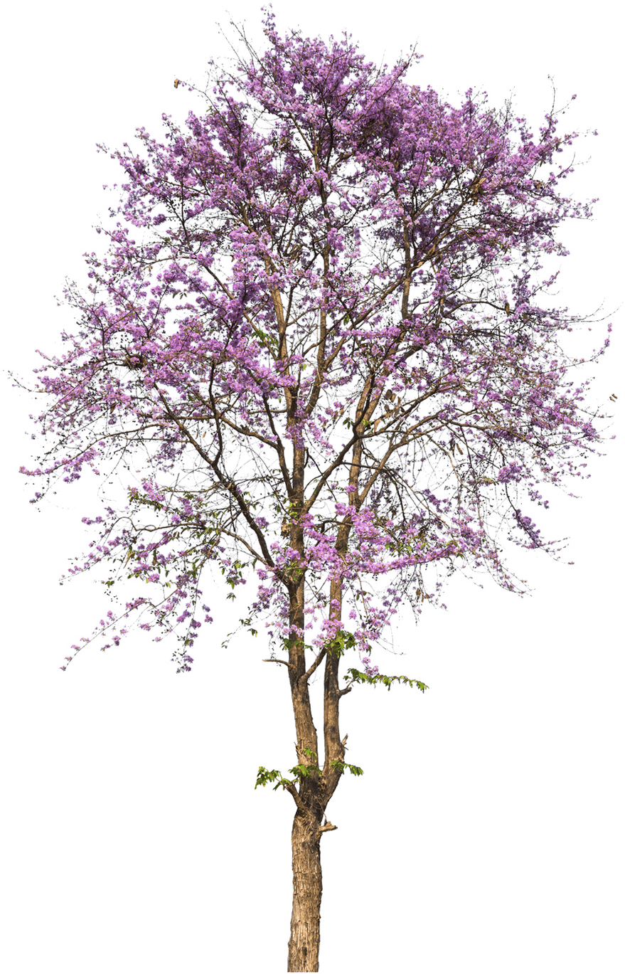 Office - Cidade Matarazzo