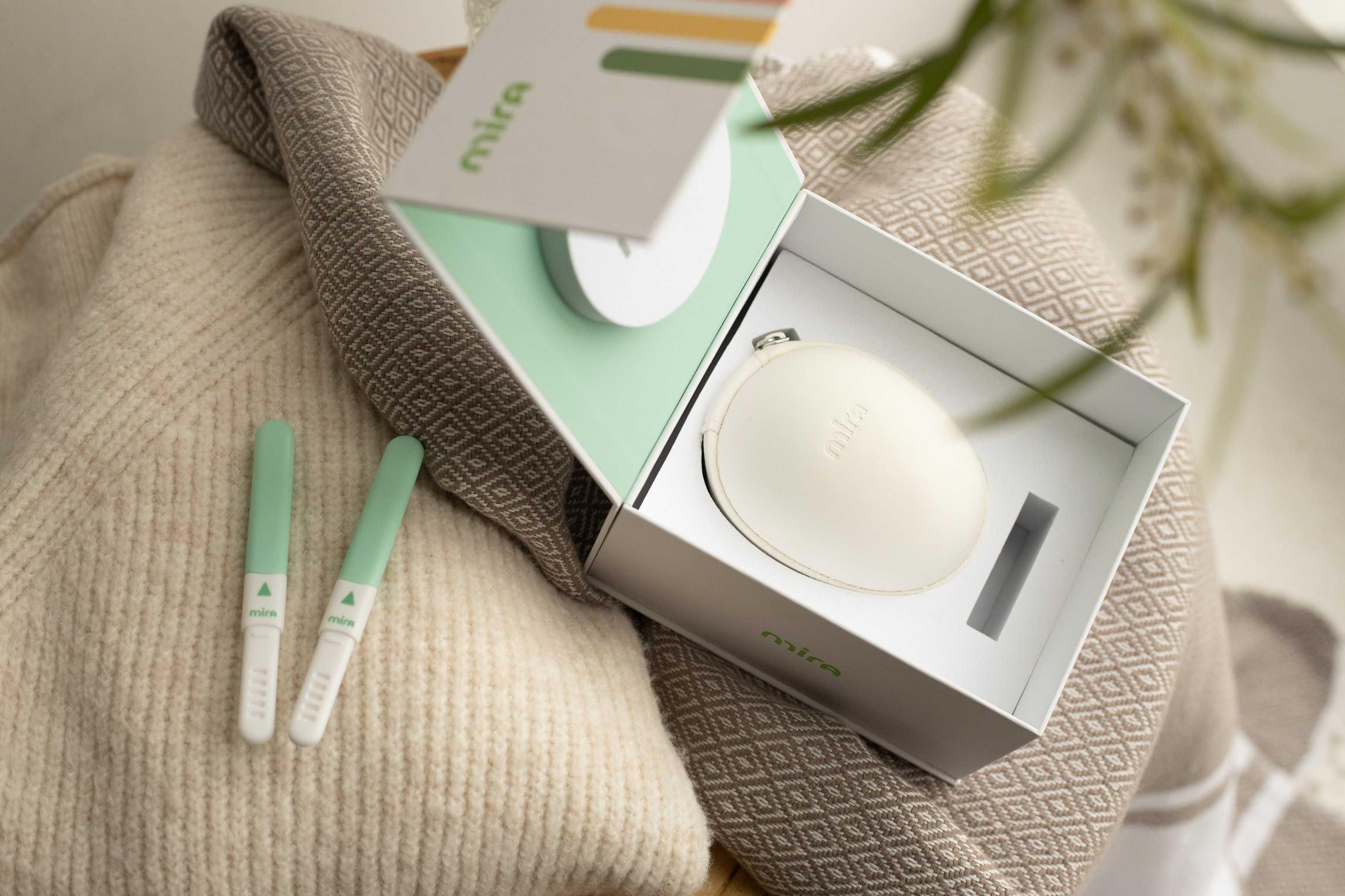 The Unicorn — Mira