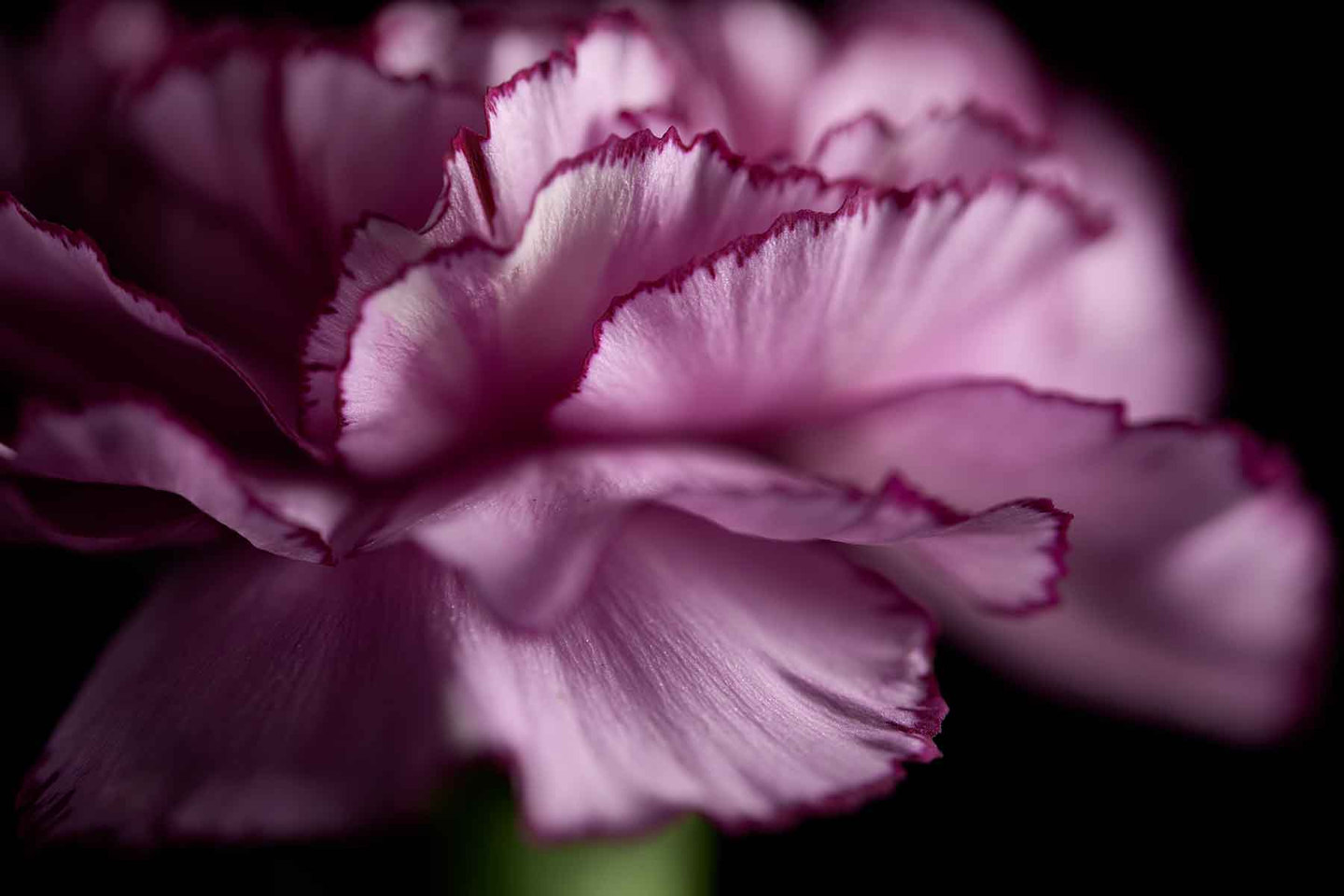 Traditional sentiment — tendance