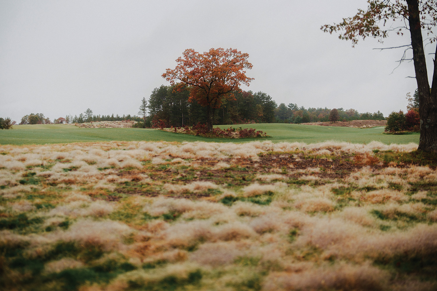 Dream Golf | Sand Valley – Sedge Valley