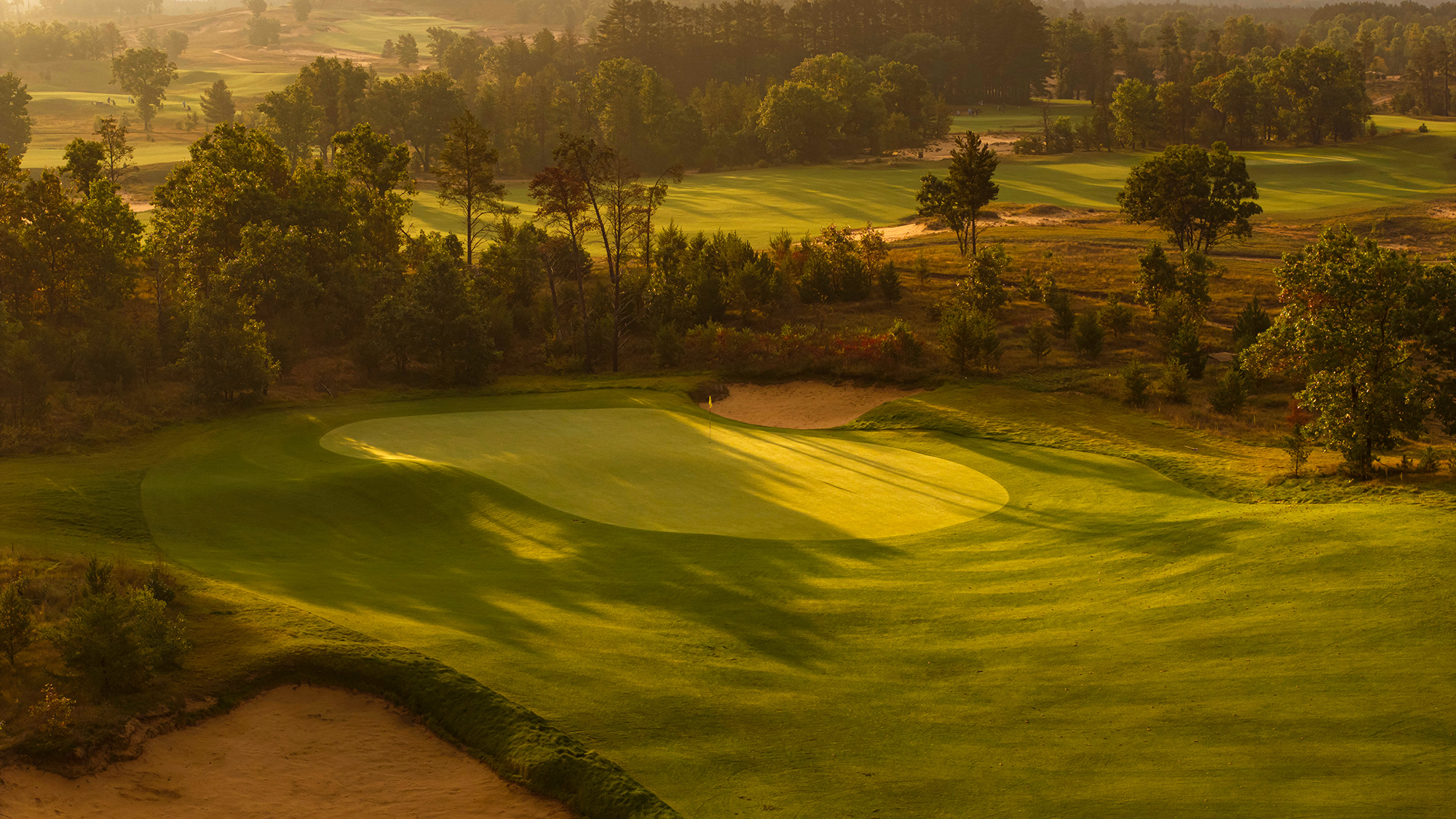 Dream Golf | Sedge Valley