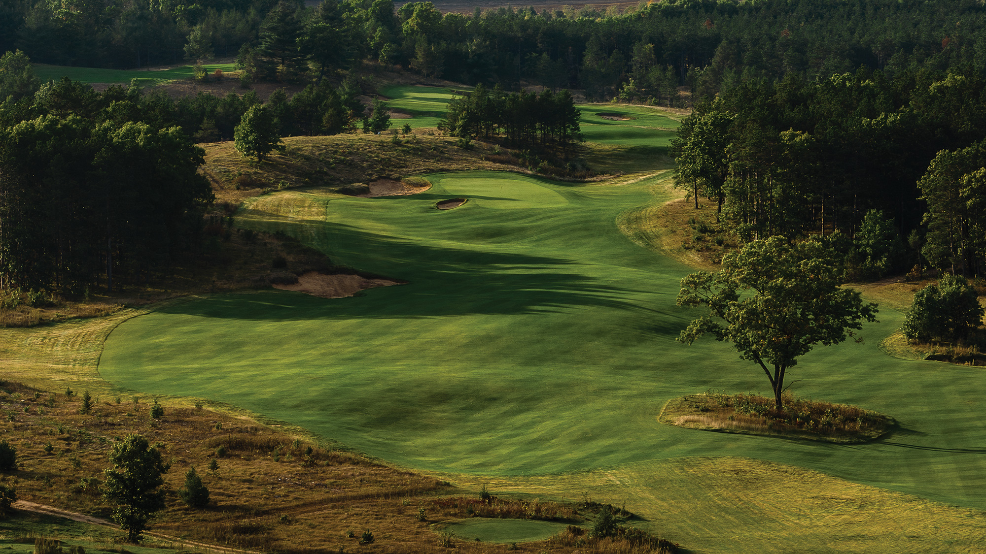 Dream Golf | Sand Valley – The Bounce