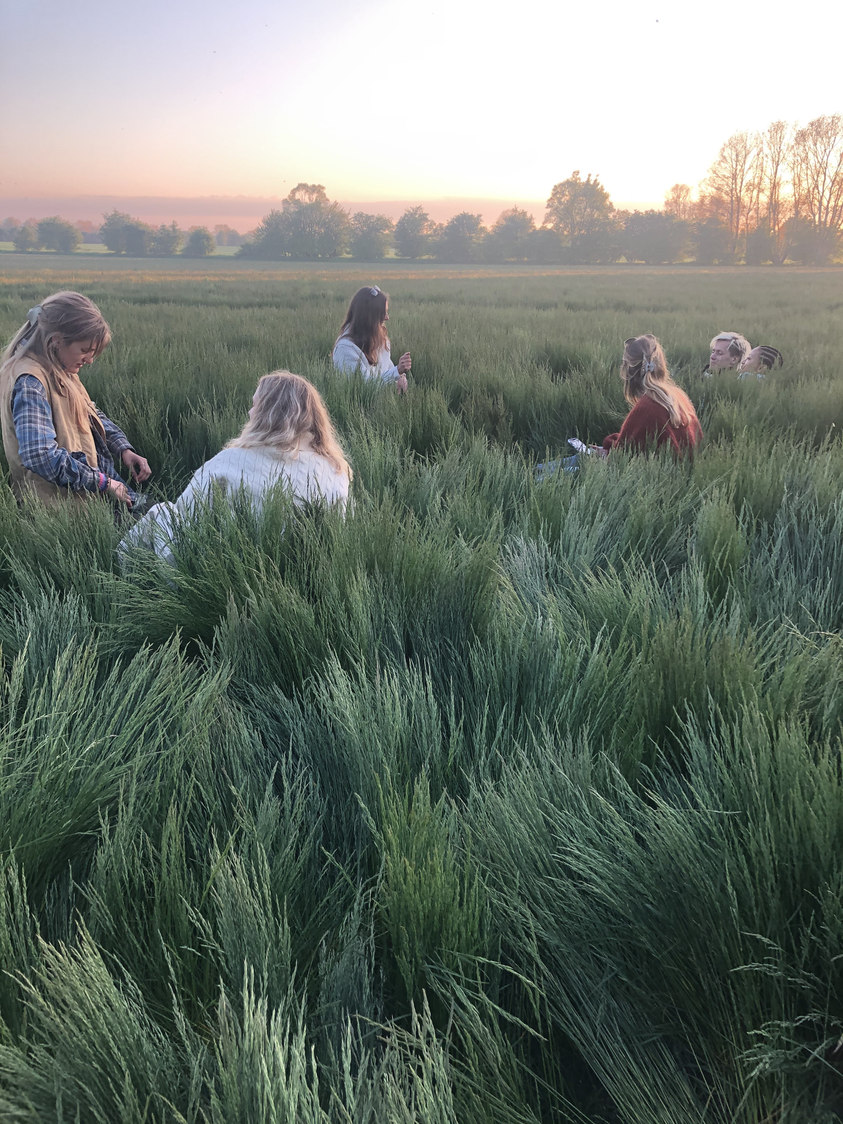 The Farm Residency — residency