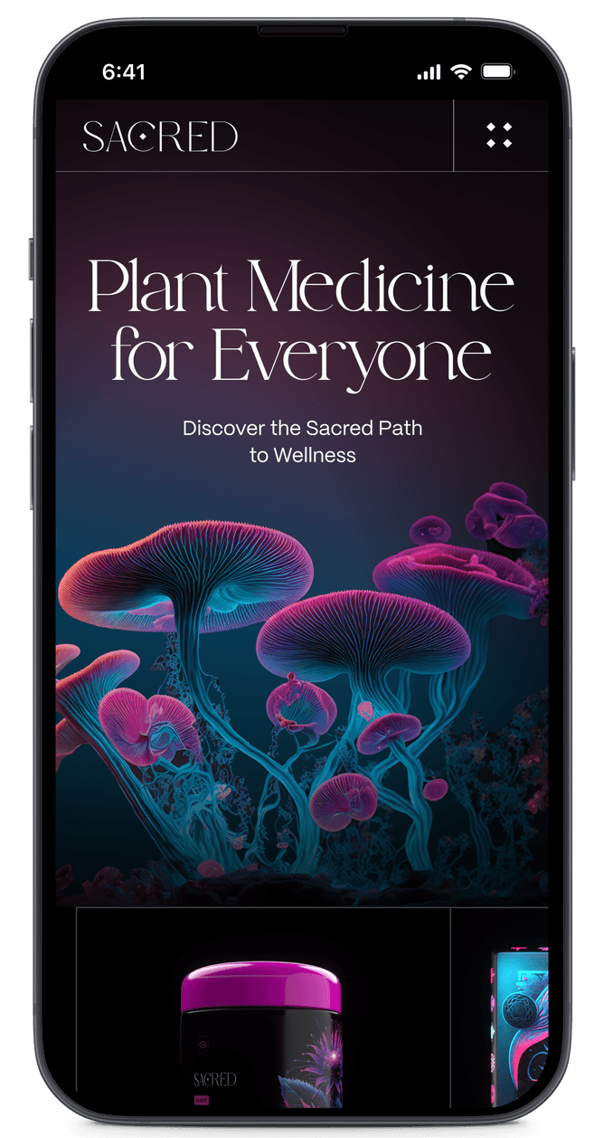 Yulia Vlasenko — Portfolio