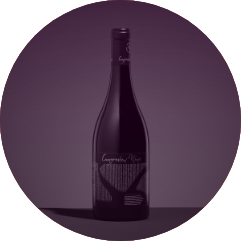 Sodinal - Enologie și vinificație — Produse