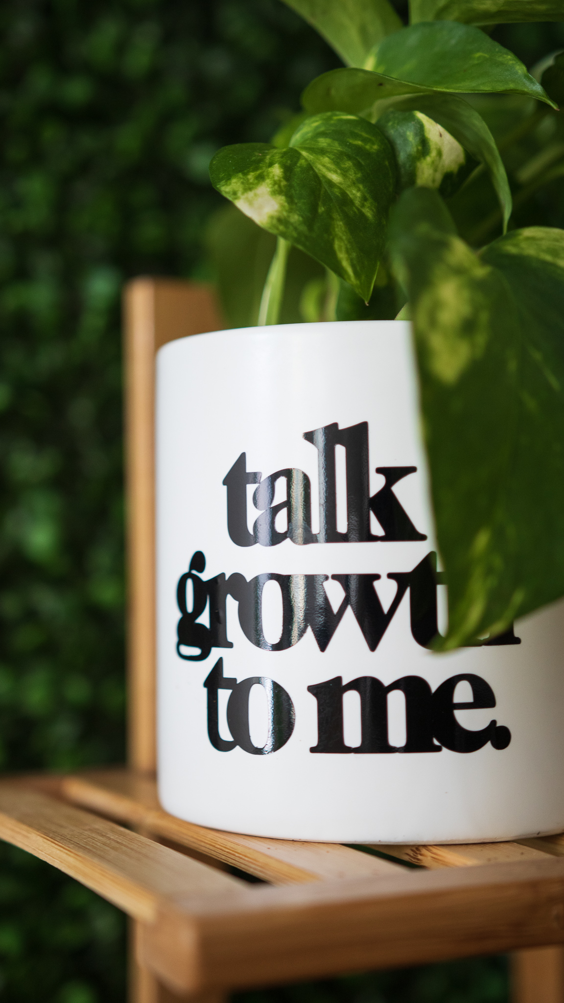 Plant Economy — Ceramic Planters Designed to Inspire Growth
