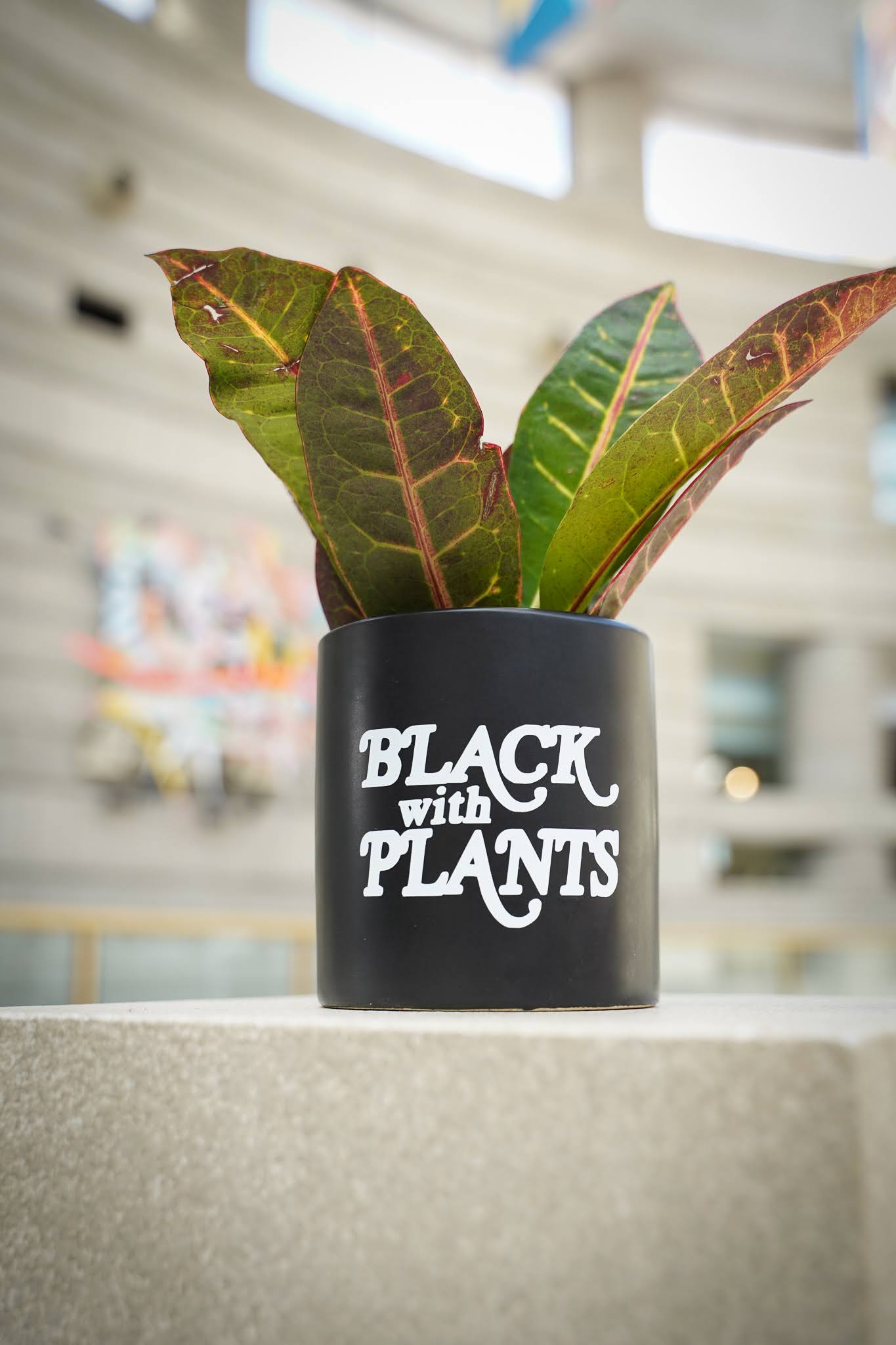 Plant Economy — Ceramic Planters Designed to Inspire Growth