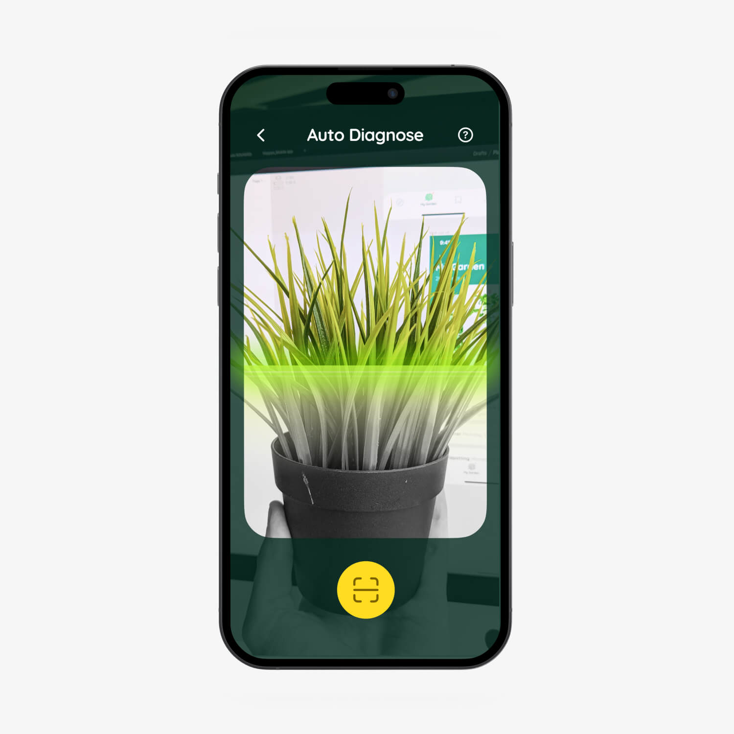 Plants App — 69pixels.
