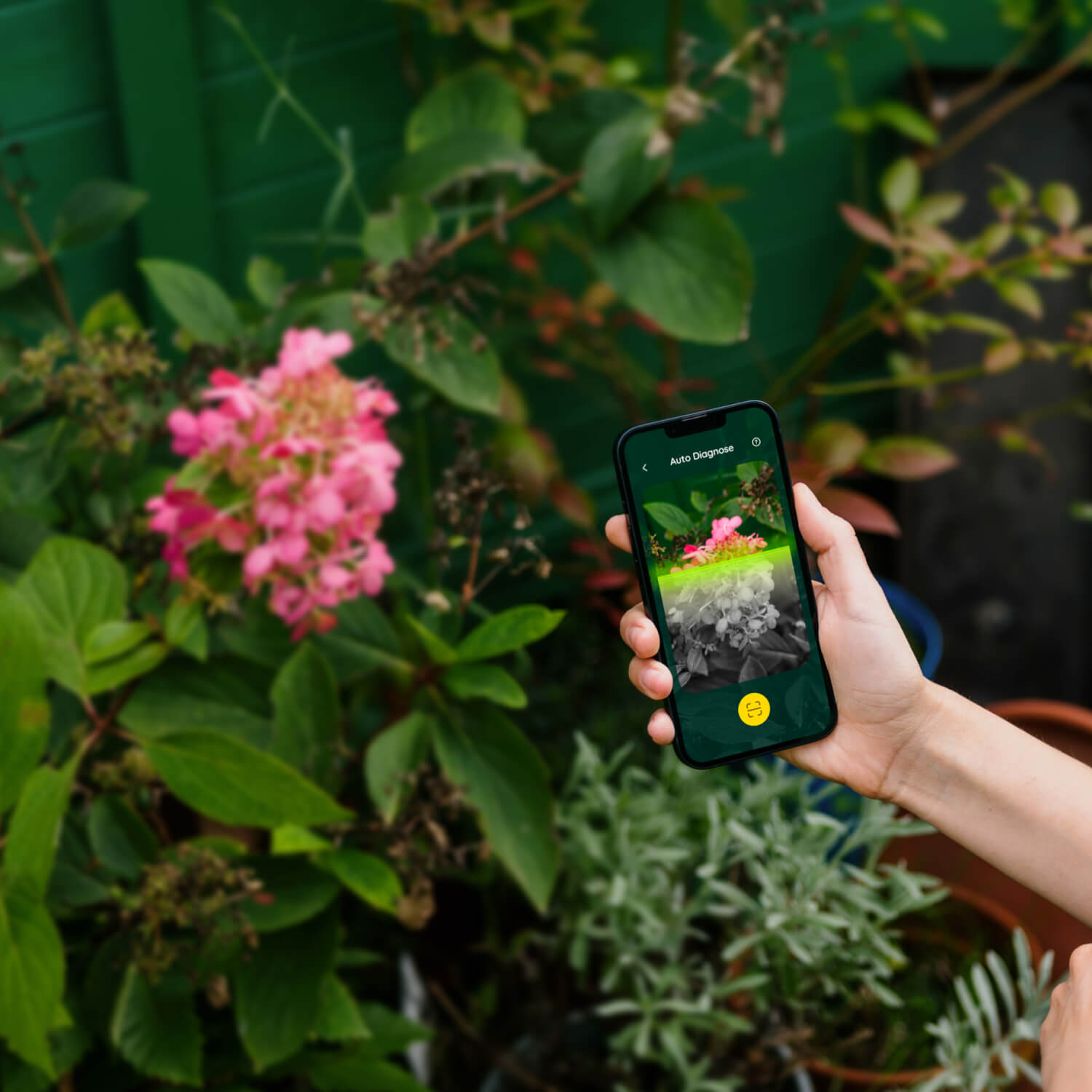 Plants App — 69pixels.