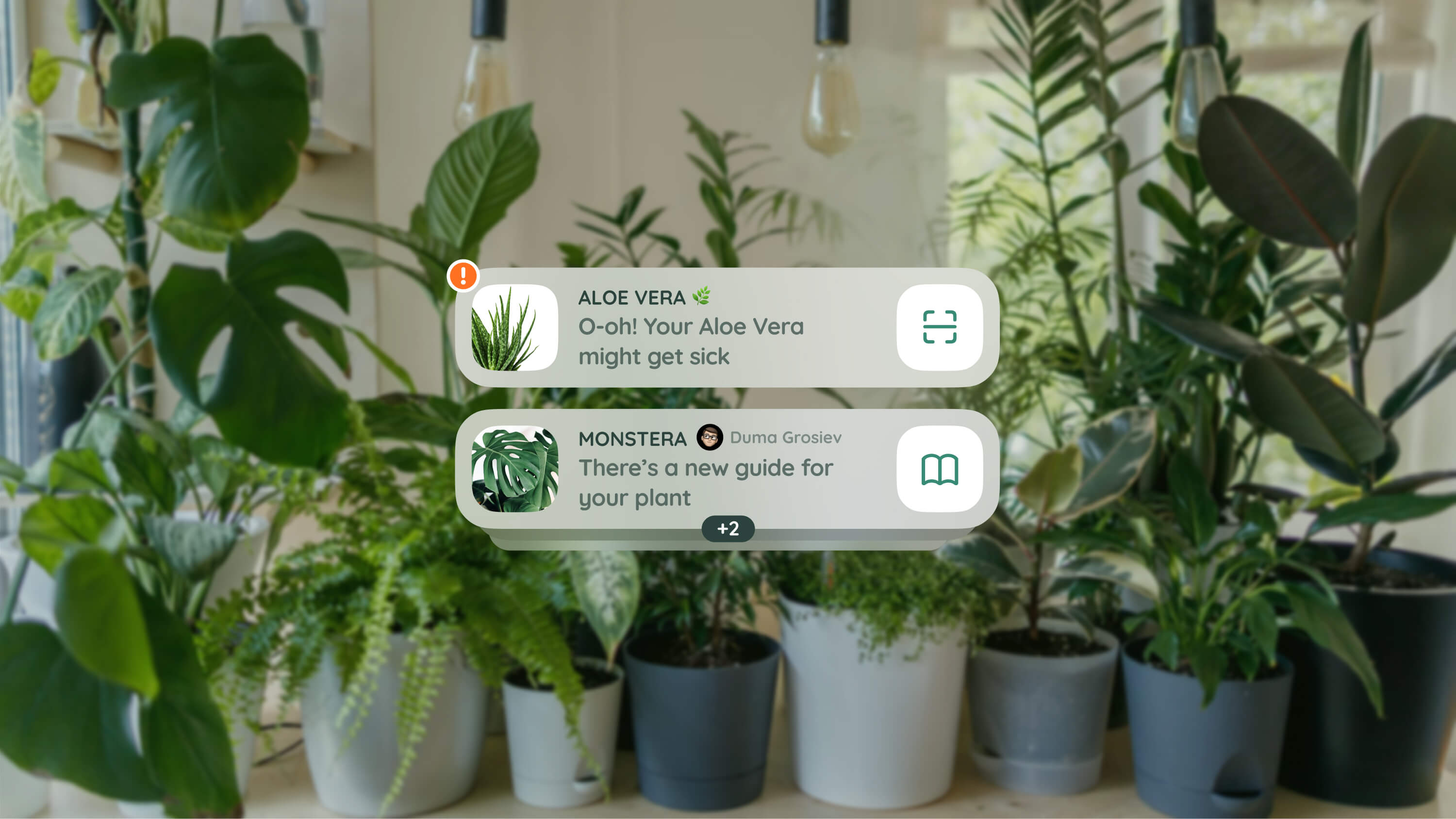 Plants App — 69pixels.