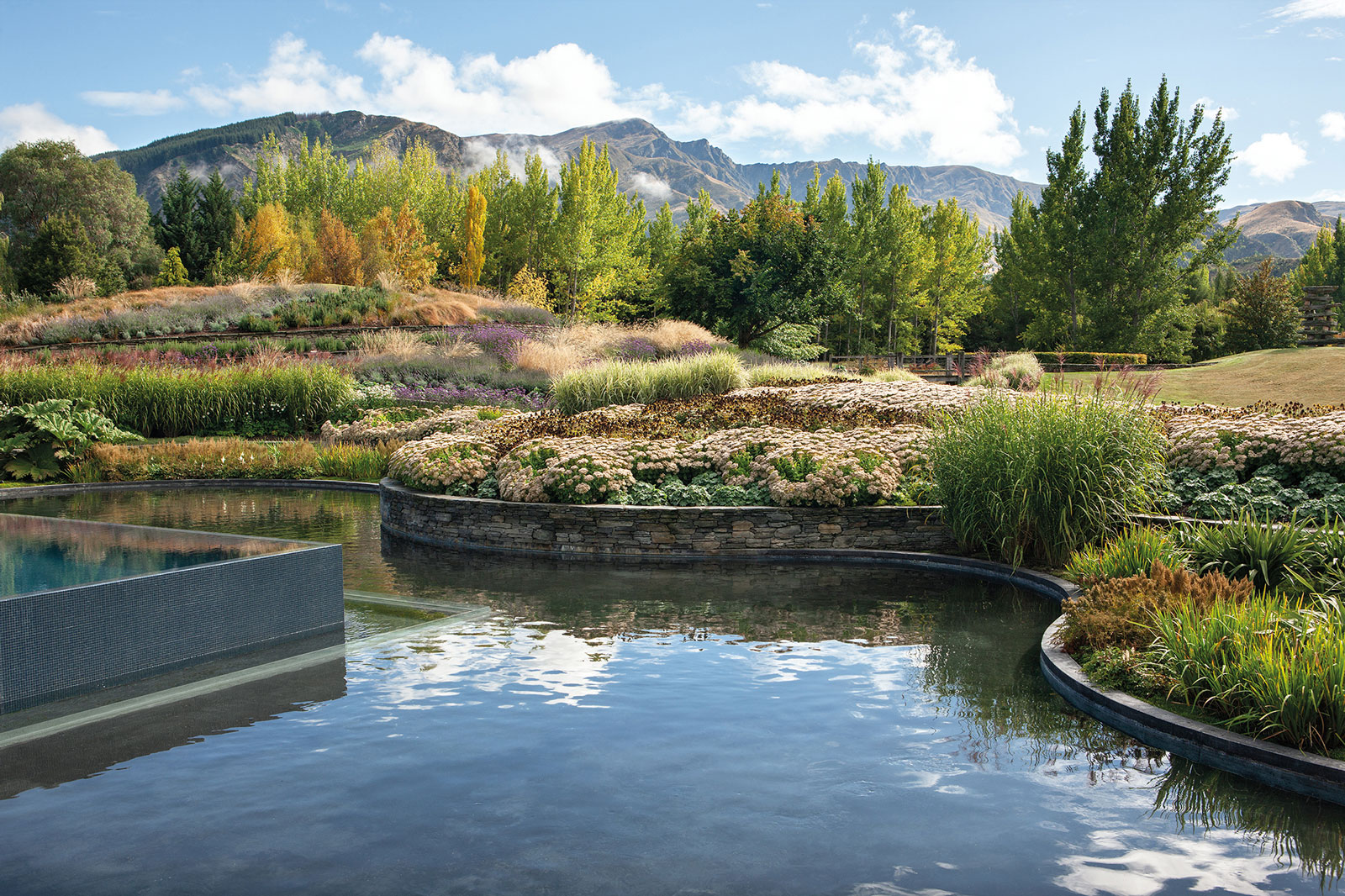 Suzanne Turley Landscapes — The Hills