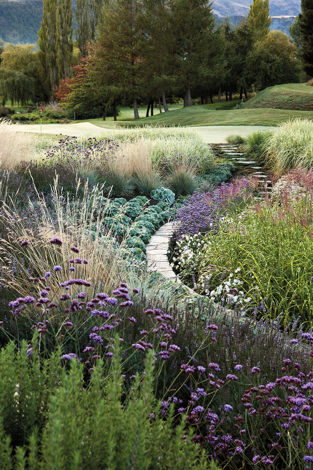 Suzanne Turley Landscapes
