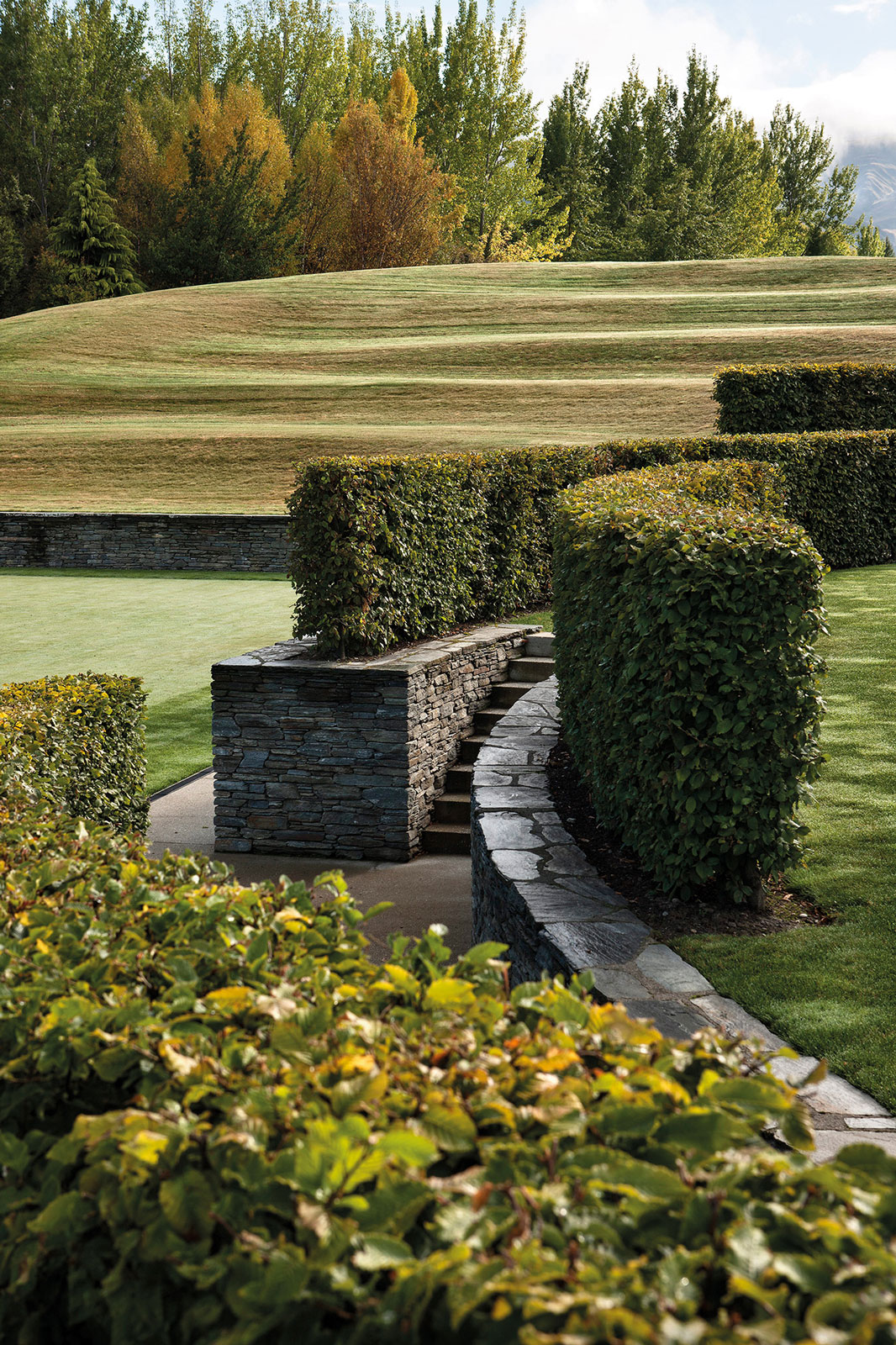Suzanne Turley Landscapes — The Hills