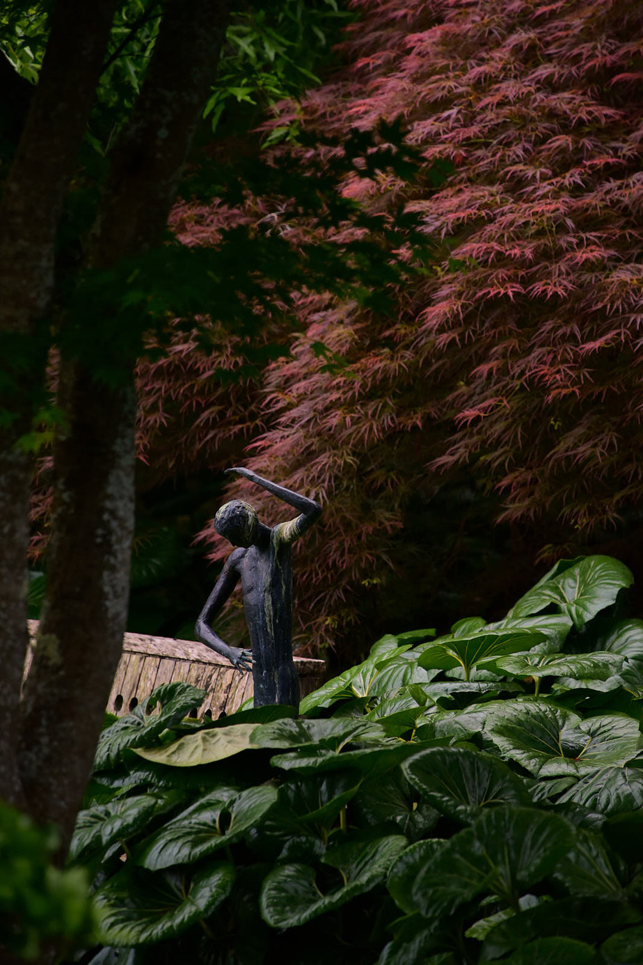 Suzanne Turley Landscapes — Paretai