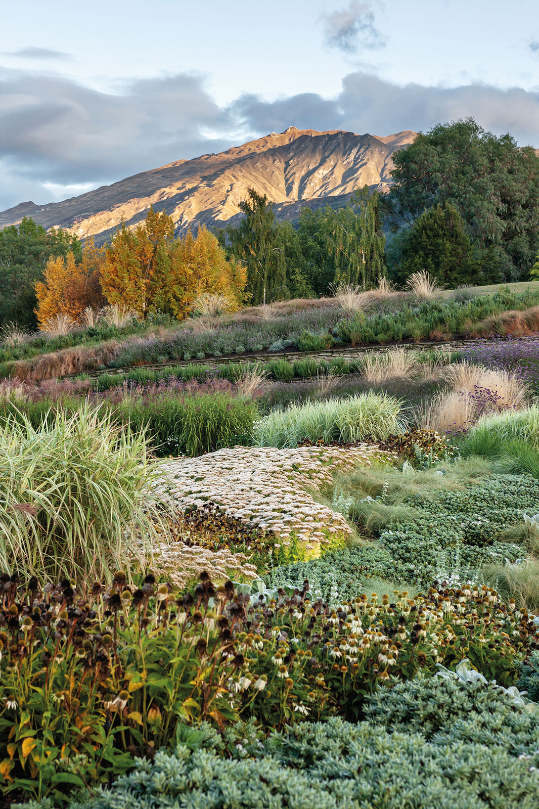 Suzanne Turley Landscapes — The Hills