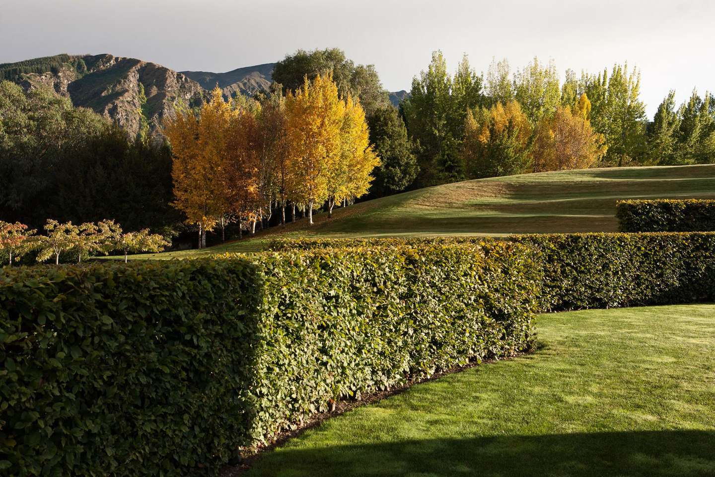 Suzanne Turley Landscapes — The Hills