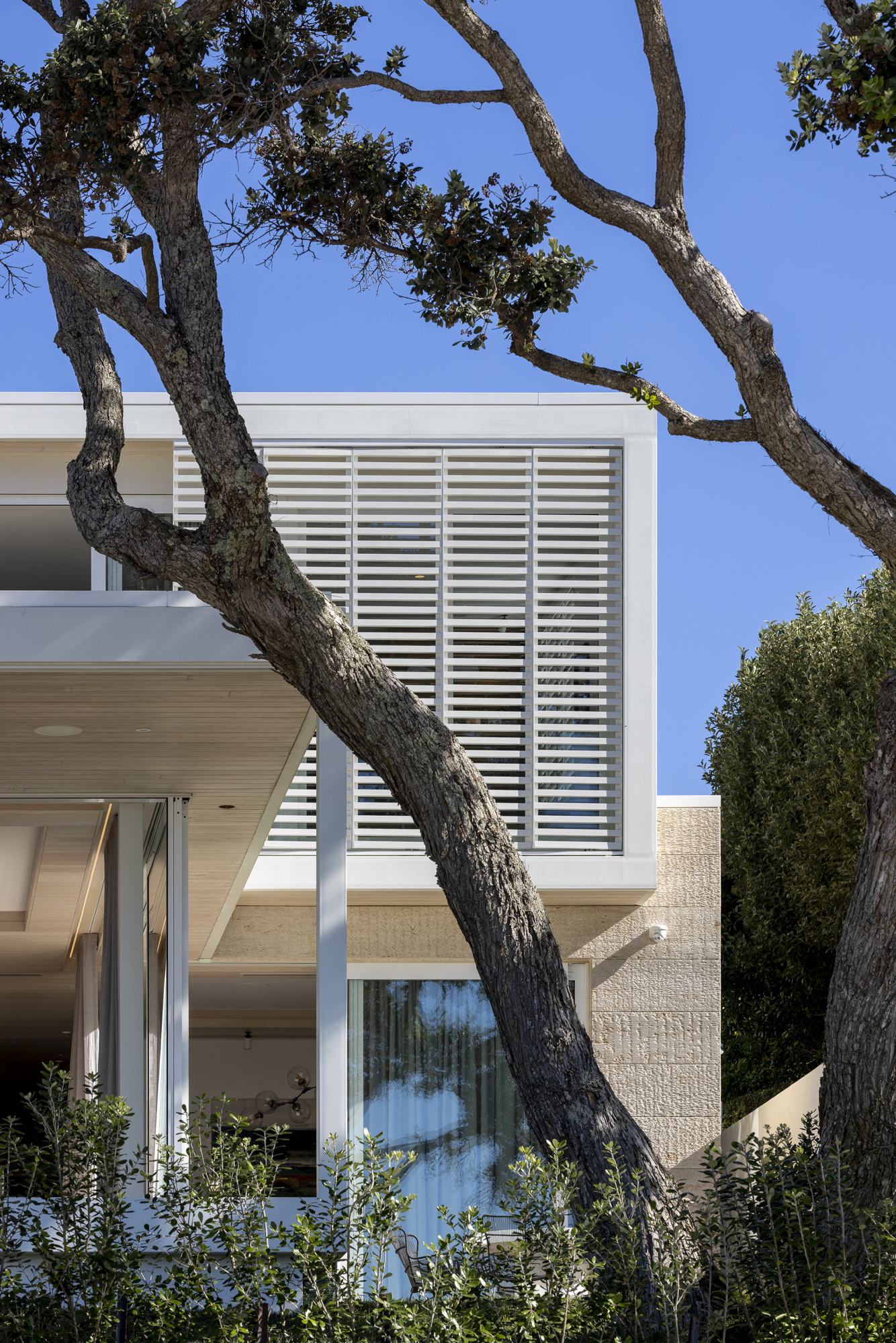 Charlotte Sumich Interiors