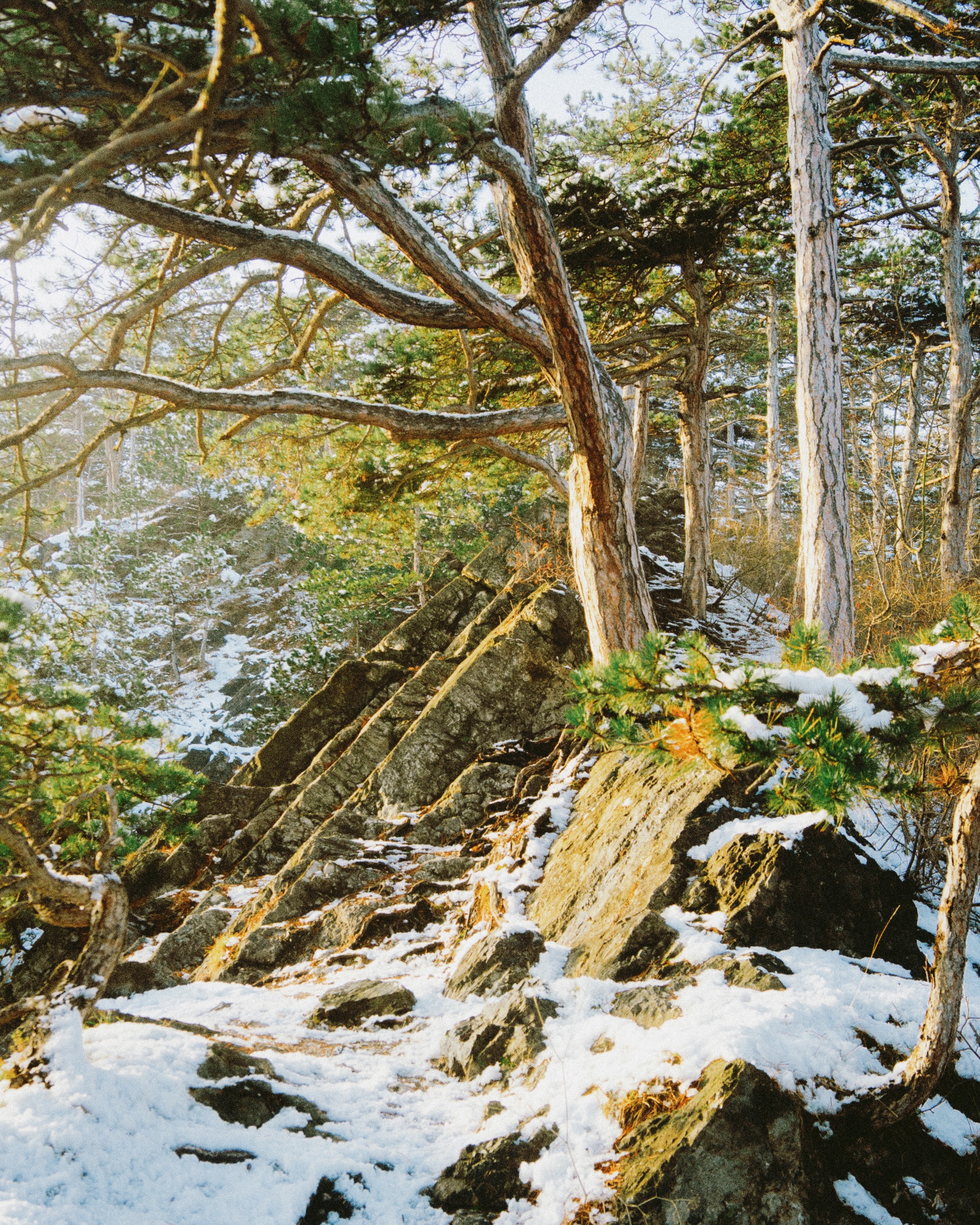 Luis Vidal - Digital Portfolio — CITY WALKS VIENNA