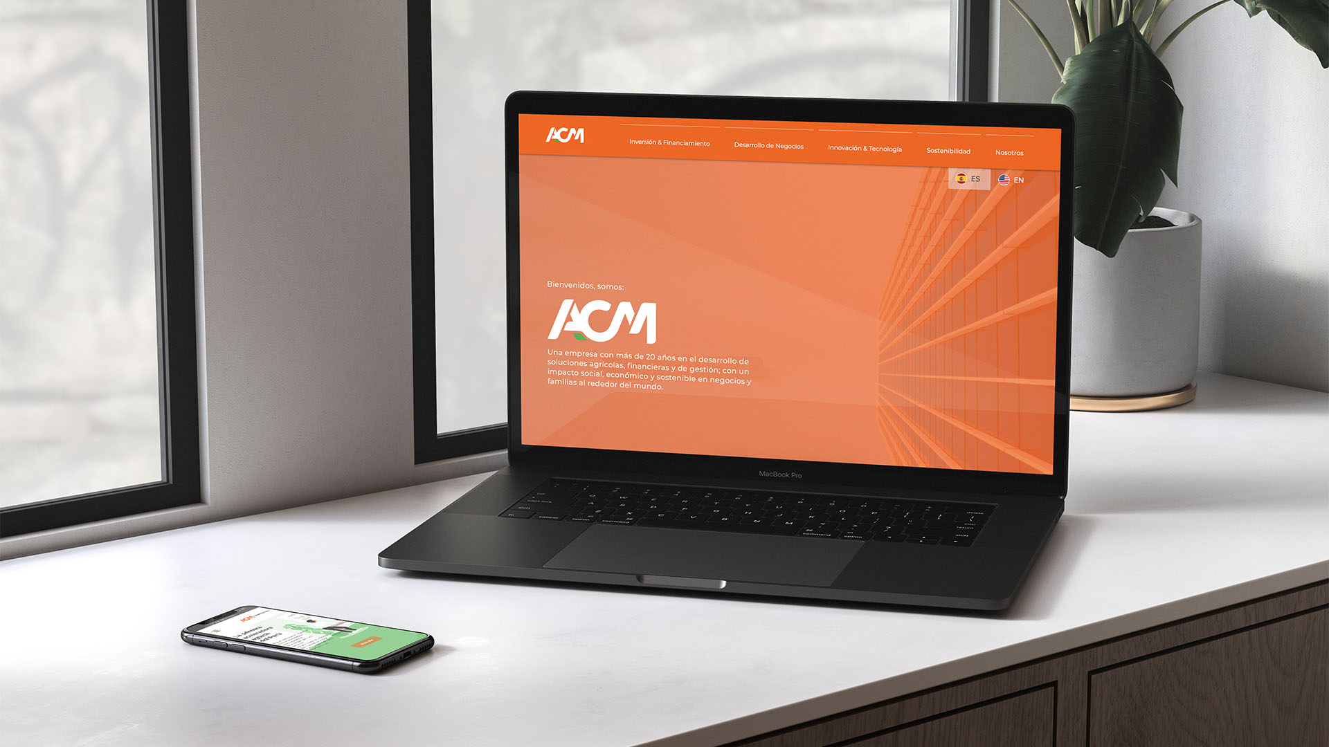 Koete, design + development — proyectos