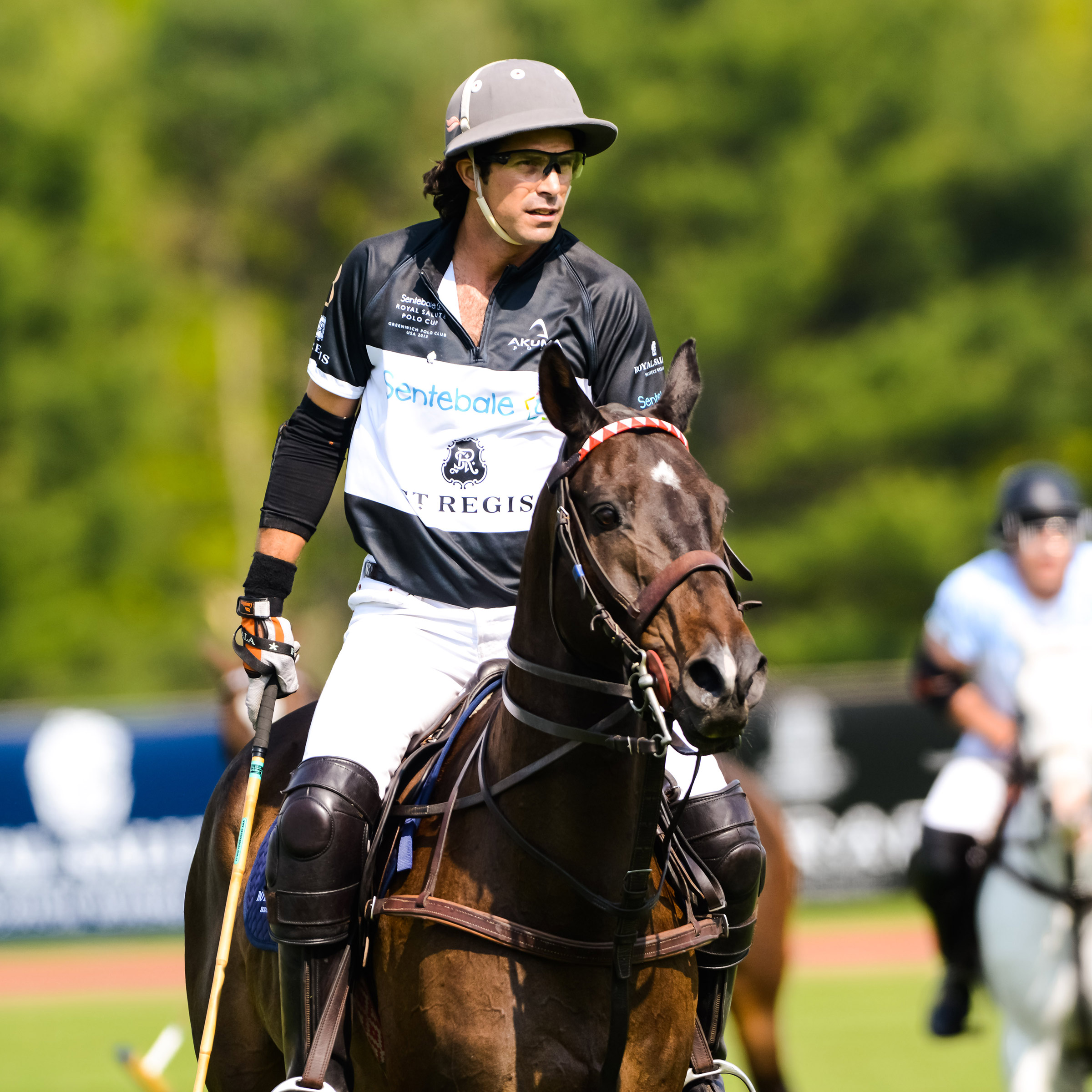 Meg Connolly — CS-st-regis-pollo