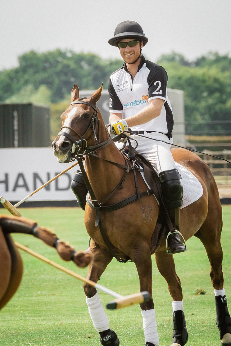 Meg Connolly — Impact