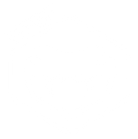 VIPERS FC® — Information