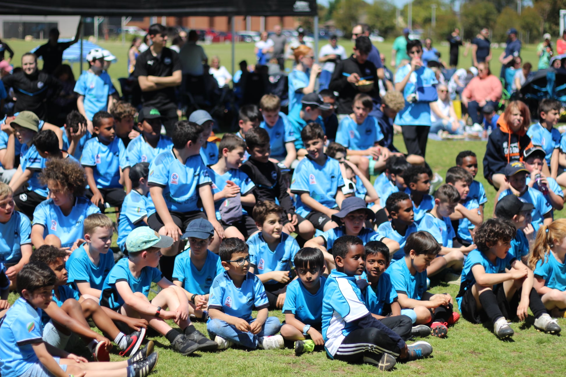 VIPERS FC® — News