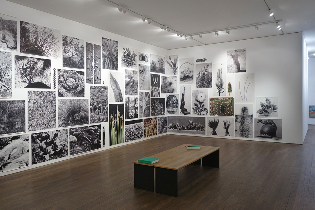 THE GARDEN OF DELIGHT — BATIA SUTER