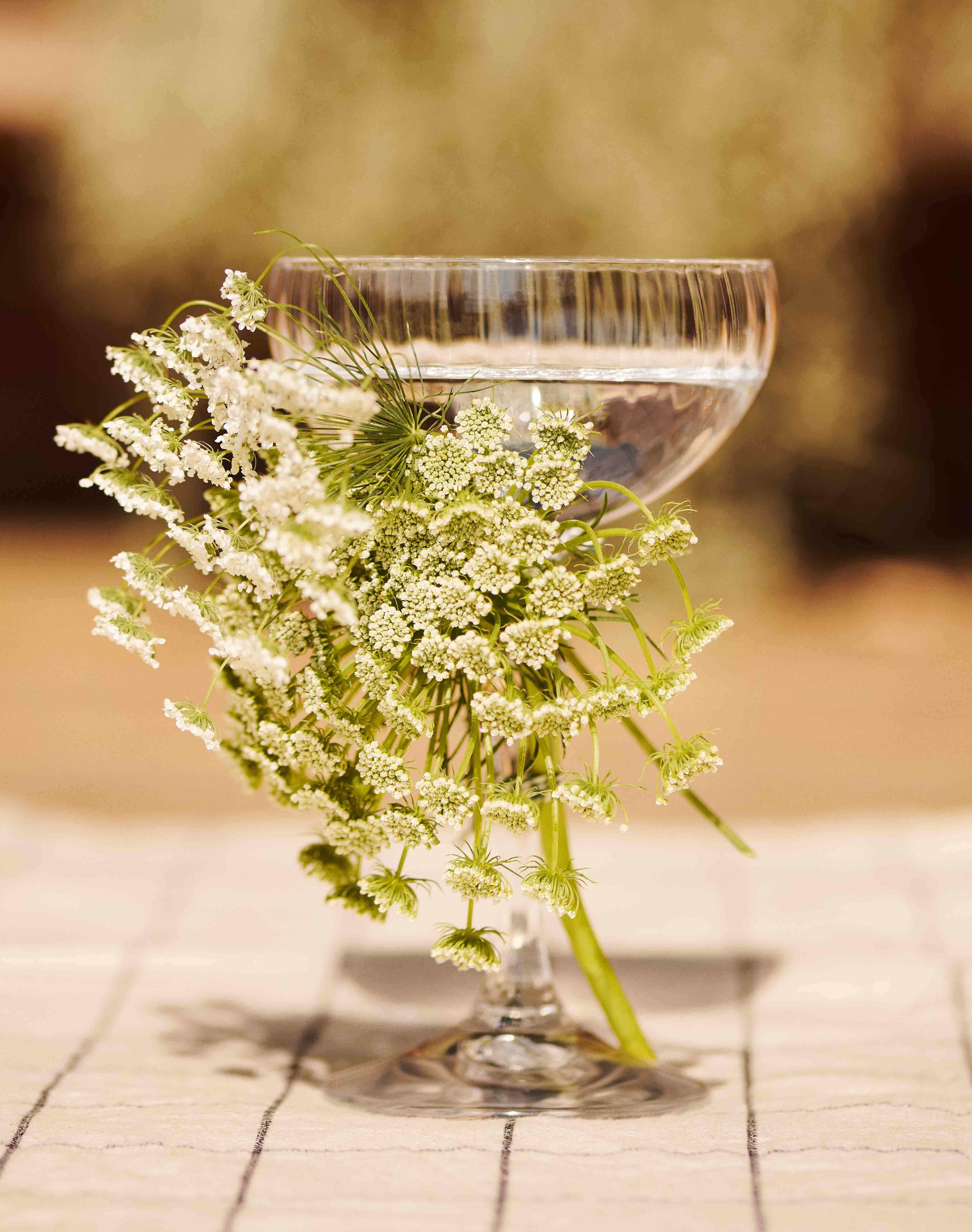 Collecting Memories - Mooiwatbloemendoen — Feel good