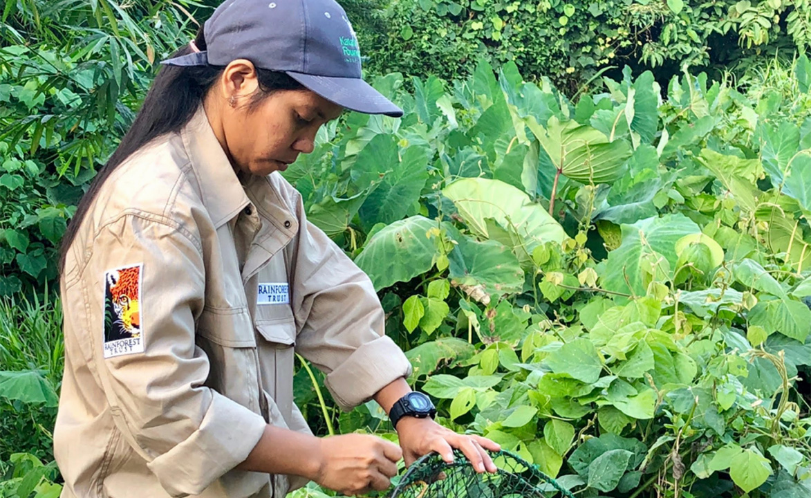 Huang Chen Foundation