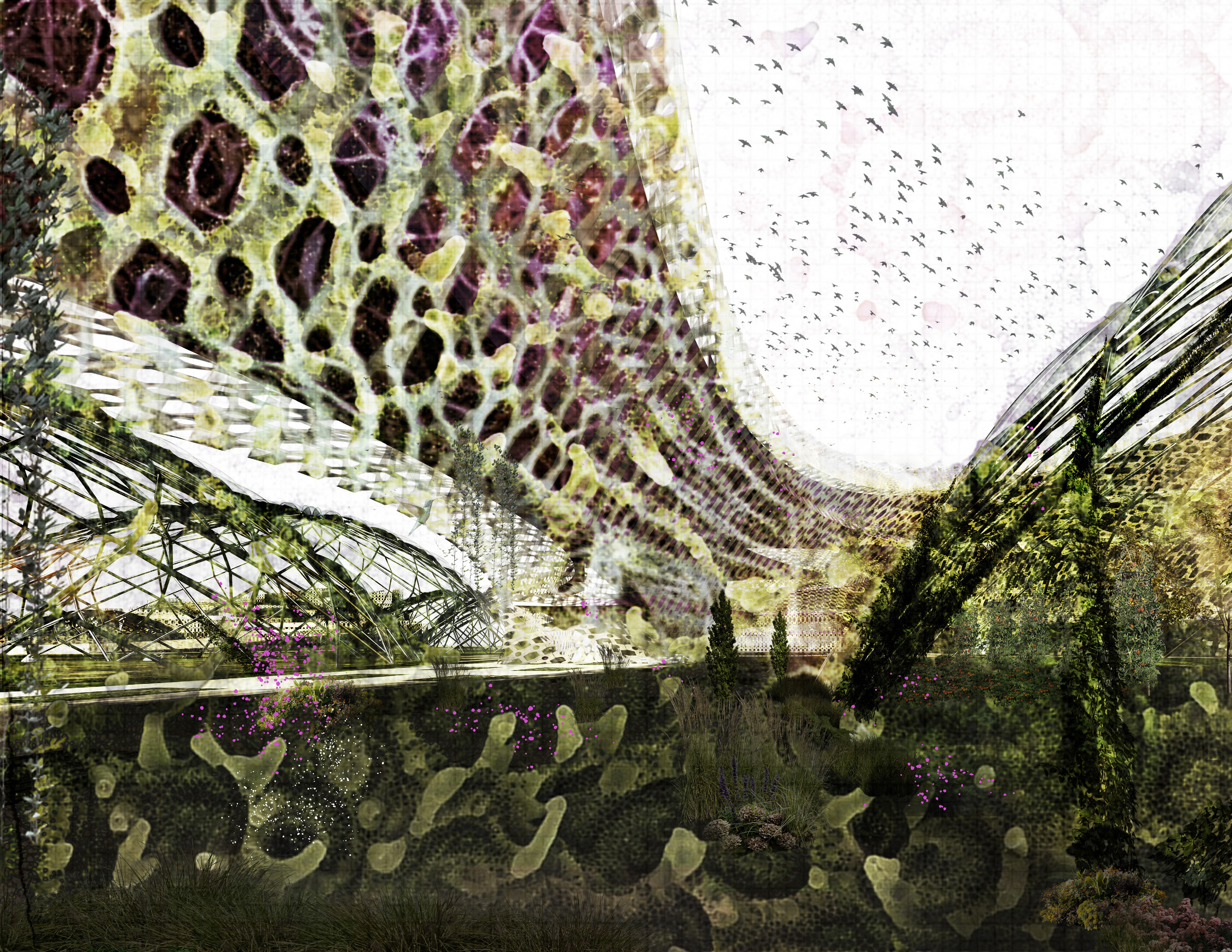 Harrison Atelier — Project Page_Pollinators estate