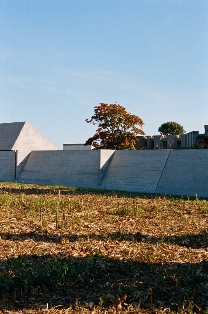 Isabelle Young — Carlo Scarpa