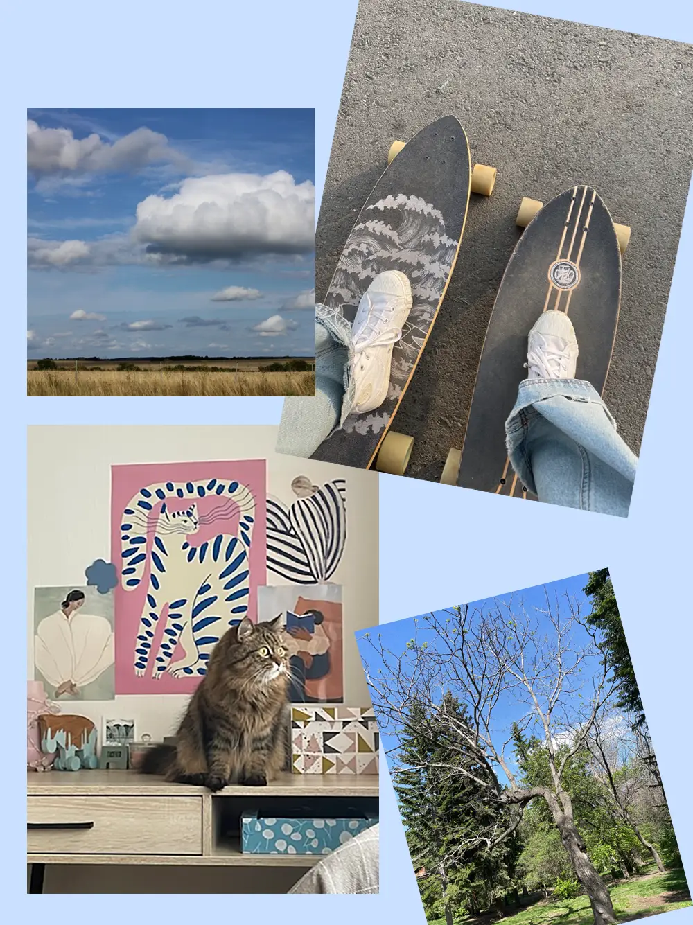 О нас. Брендинговое агентство Funky Agency